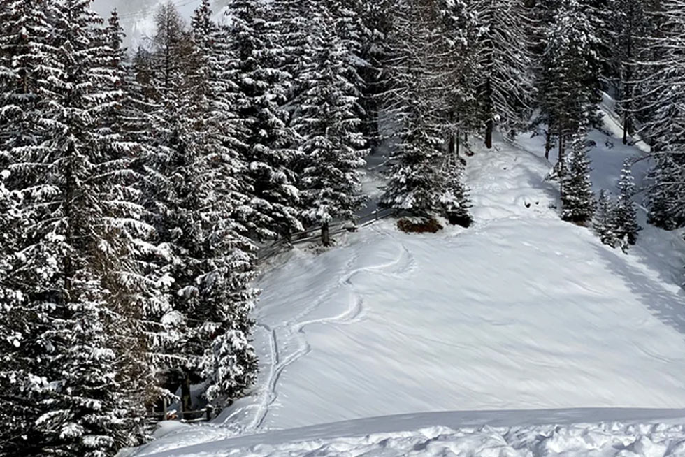 November 2024 Team Building Activities & Ideas