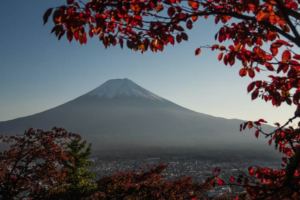 Best Team Building Activites in Asia | Teamland