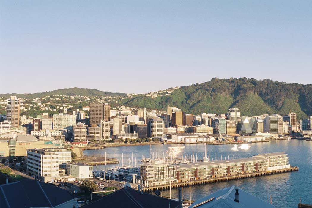 64+ Best Team Building Activities in Wellington in 2024 | Teamland