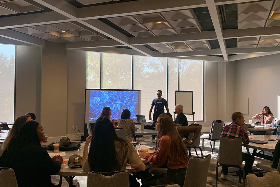 Human Matter | Teamland