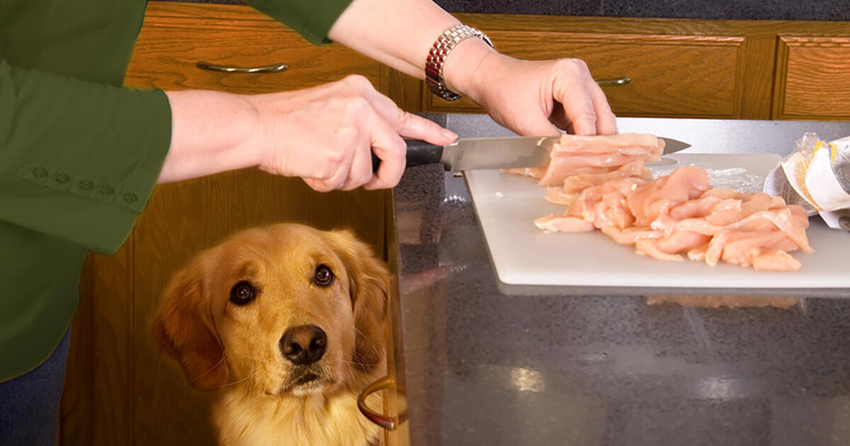 How long to cook meat for Homemade Dog Food