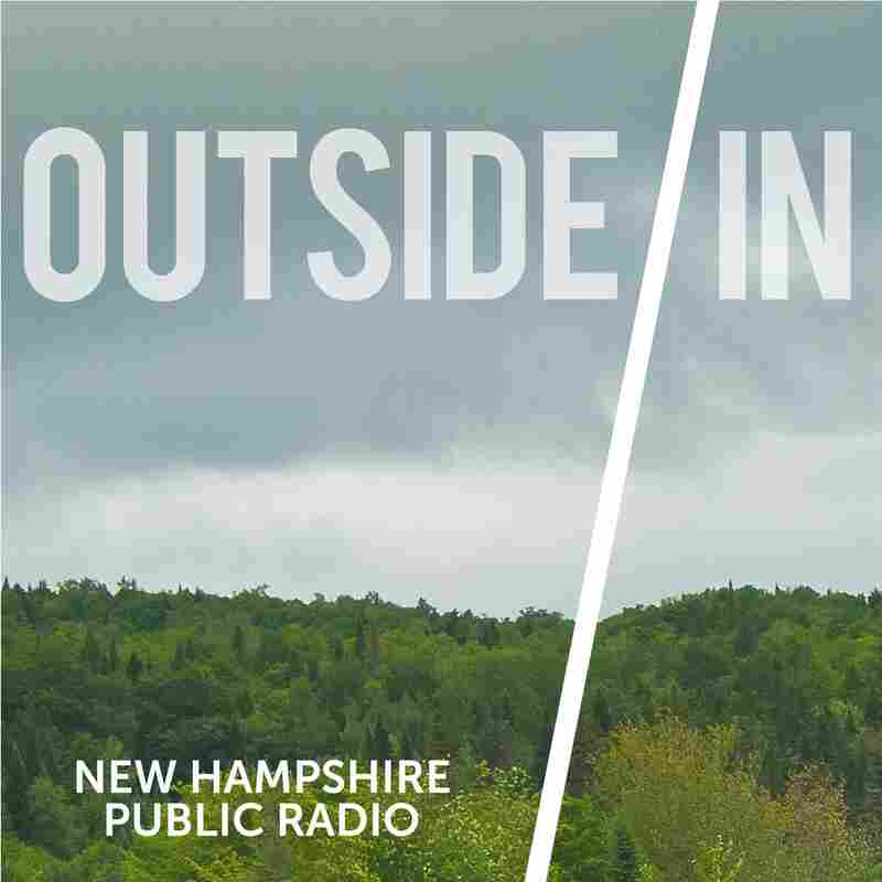 Podcast Cover Art: The Ultimate Guide (Plus 20 Examples!)