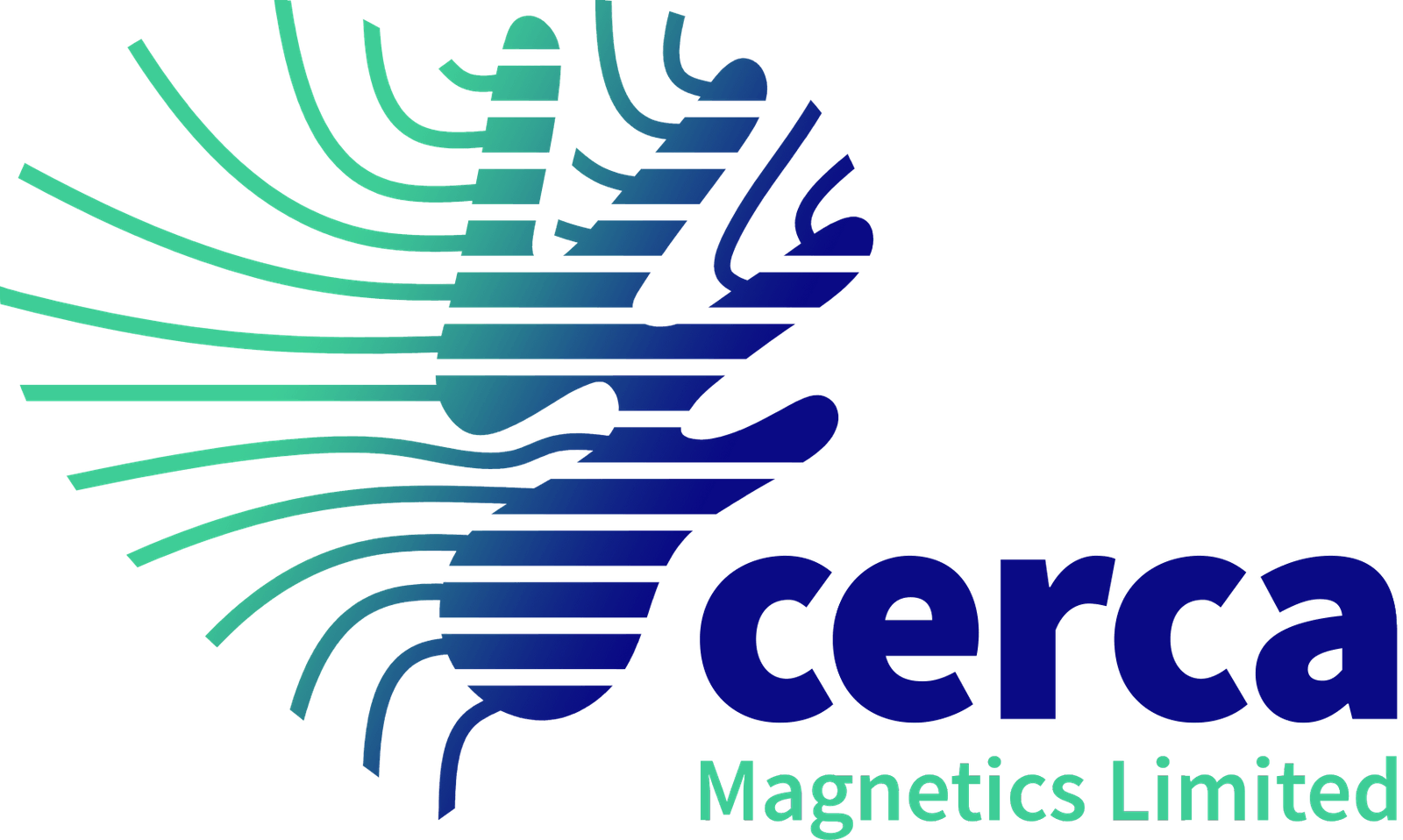 Cerca OPM-MEG System
