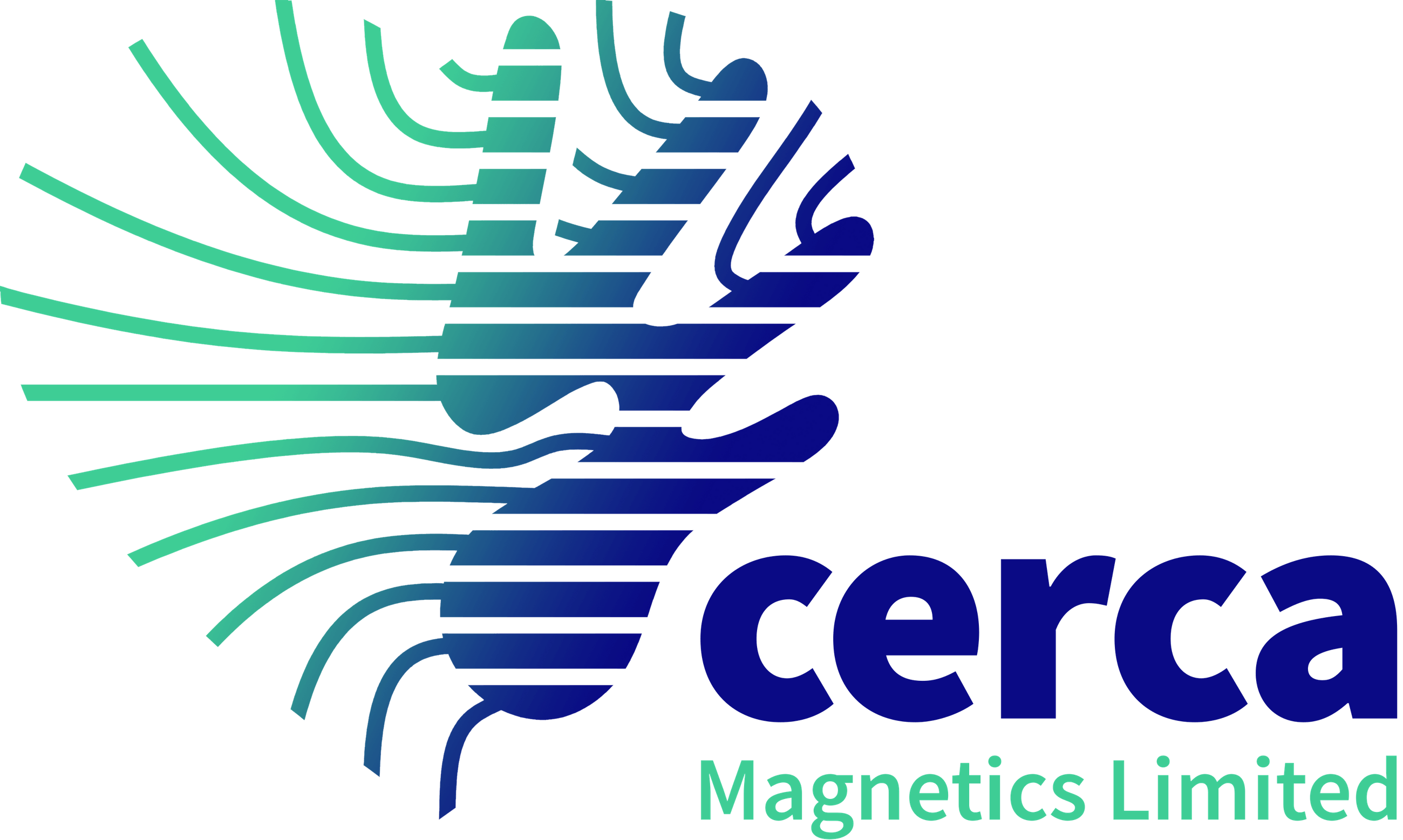 Cerca OPM-MEG System