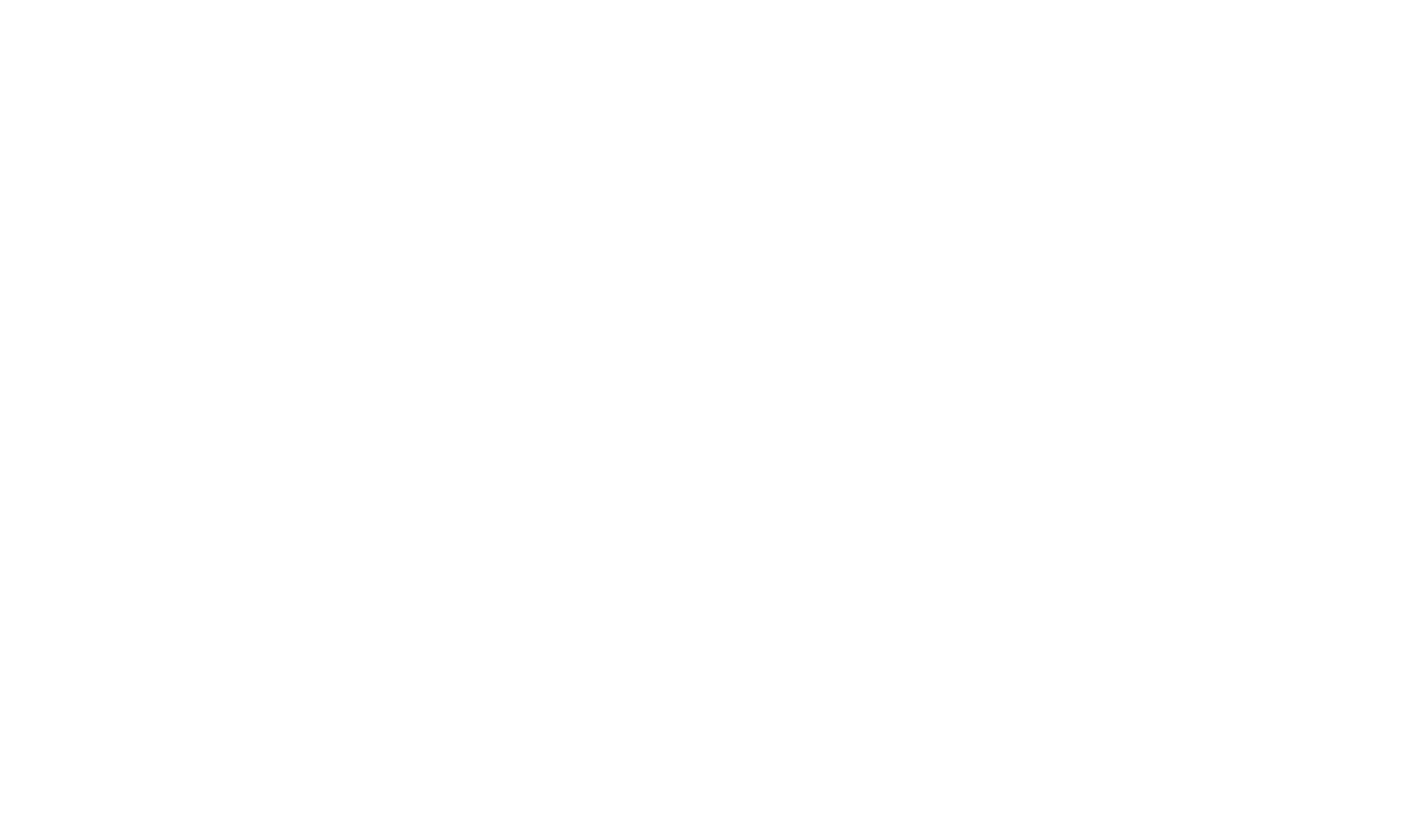 Cerca OPM-MEG System