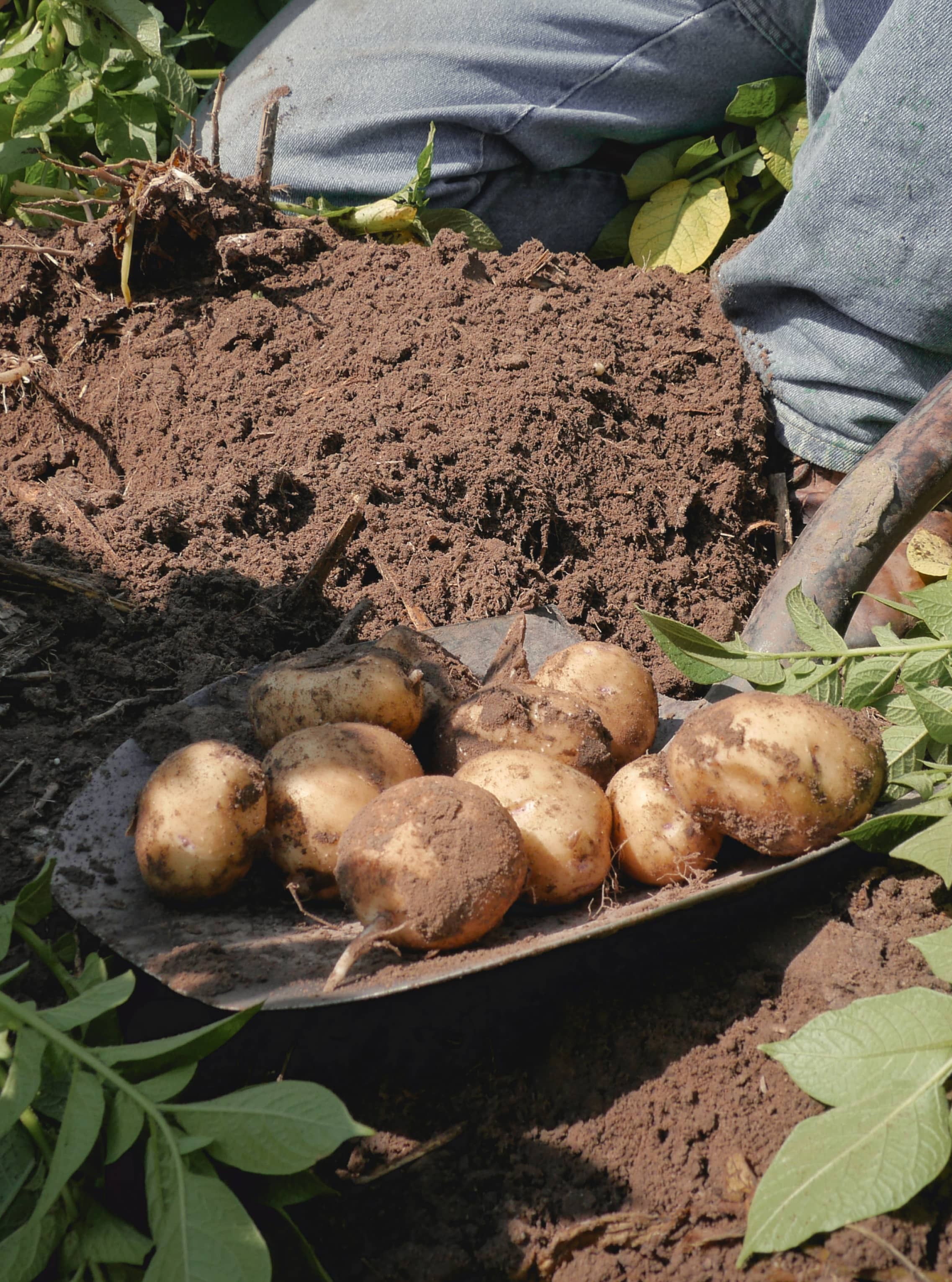 Ramp Customers are Happy Customers - Case Studies | Ramp