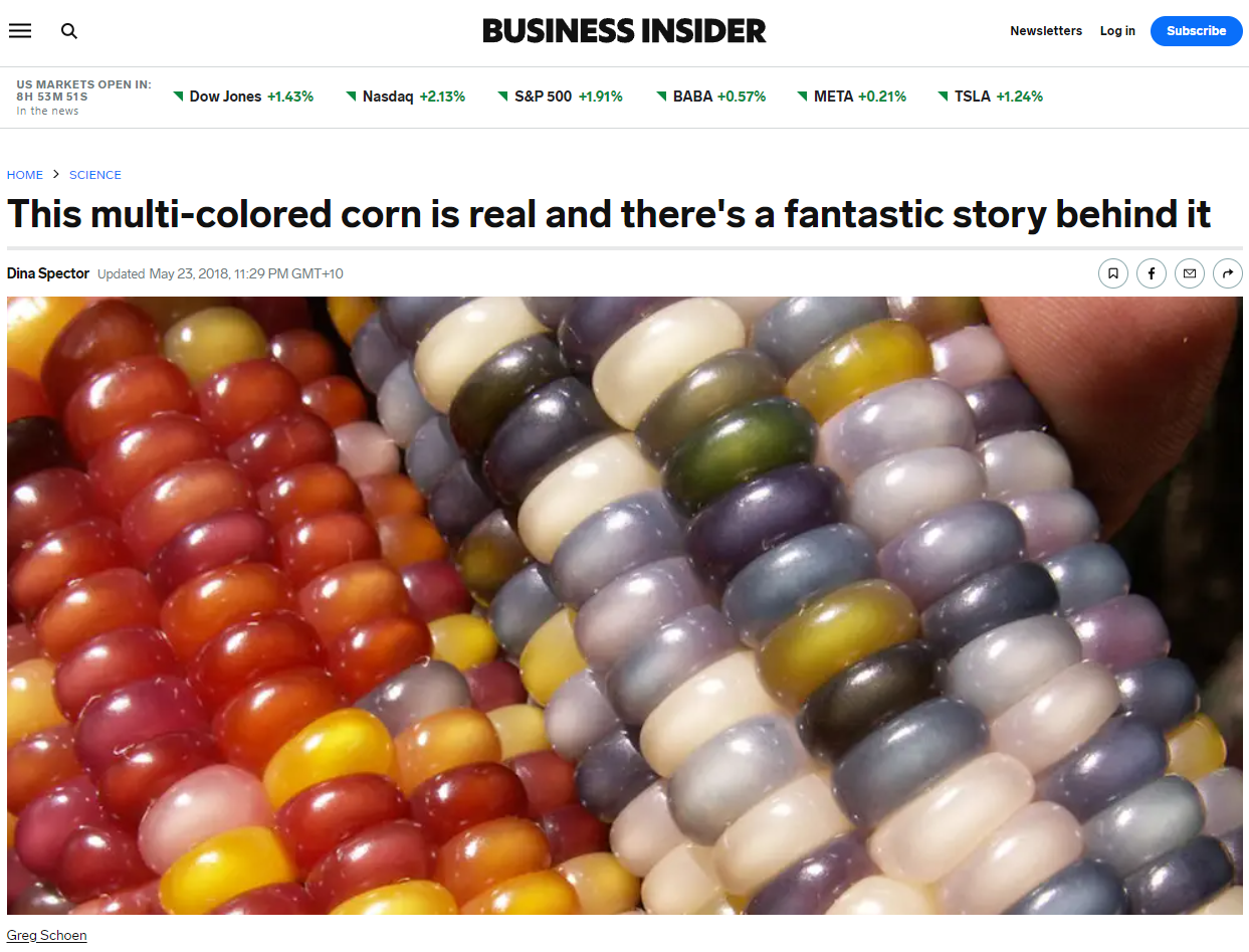 15 Best Native Advertising Examples for Publishers in 2024 | Publift