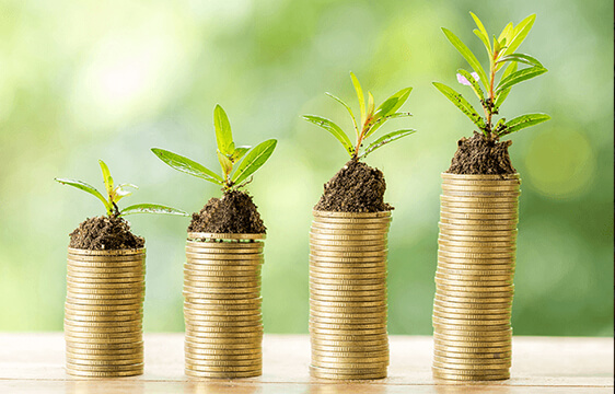 Telecom Software Solutions & Services | Maplewave