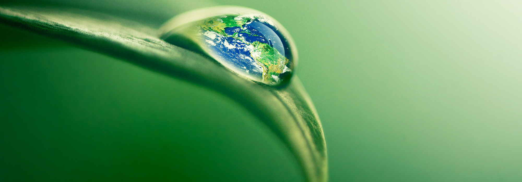 Curious About Sustainable Telcos? Here Are The 8 Companies Paving The Way