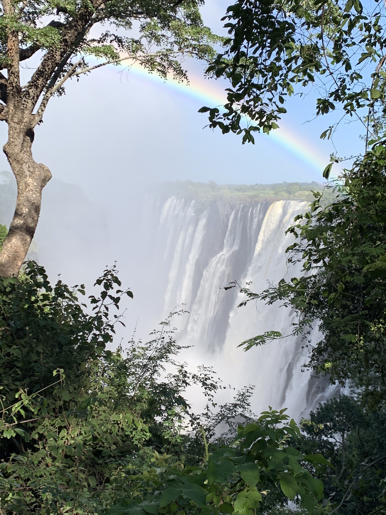 Understanding Form ADV Amendments