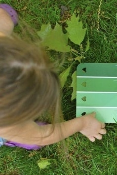 10 Outdoor Activities for Children This Autumn | Famly