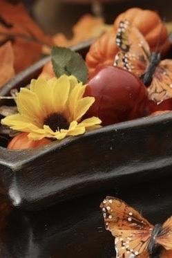 10 Outdoor Activities for Children This Autumn | Famly