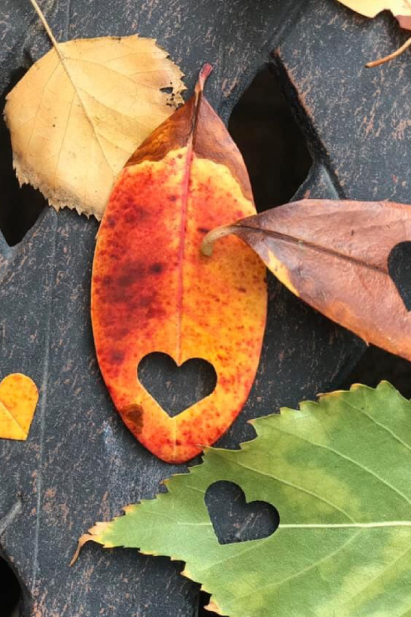 10 Ideas for Socially-Distanced Outdoor Activities | Famly