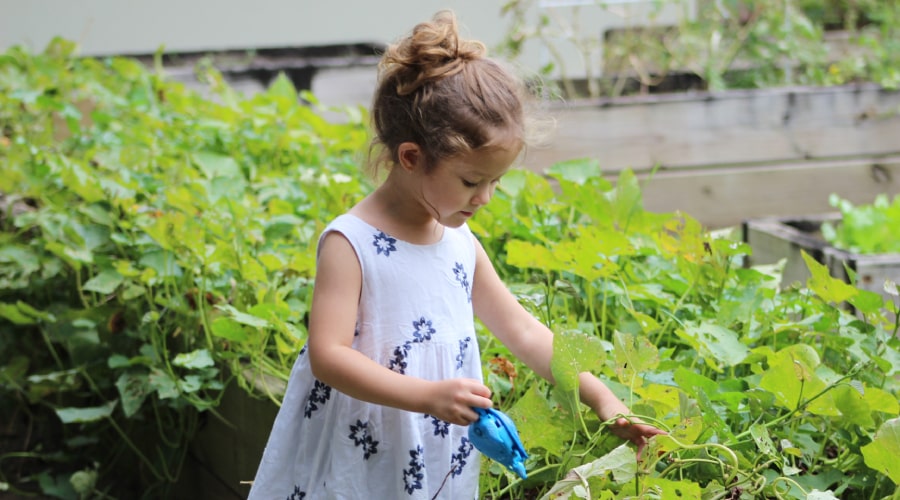The best Early Years teacher is a garden | Famly