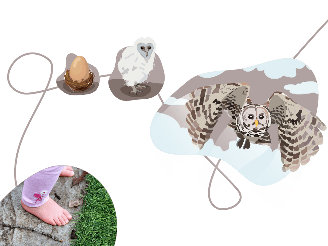 Barefoot play in the Early Years | Famly