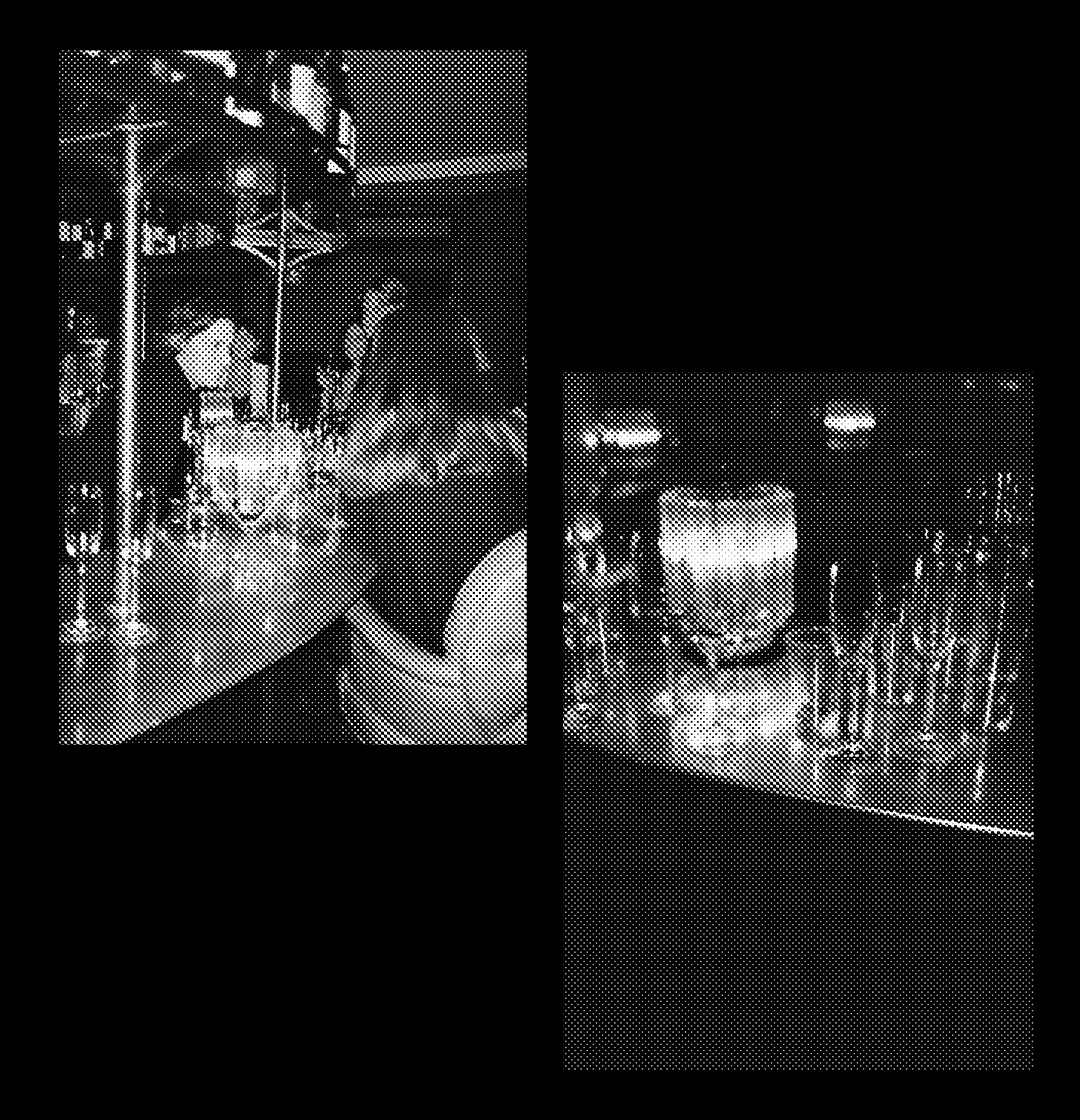 Home - Katkoot Italia