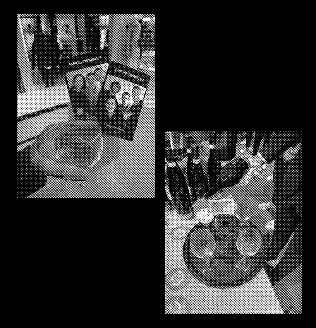 Home - Katkoot Italia