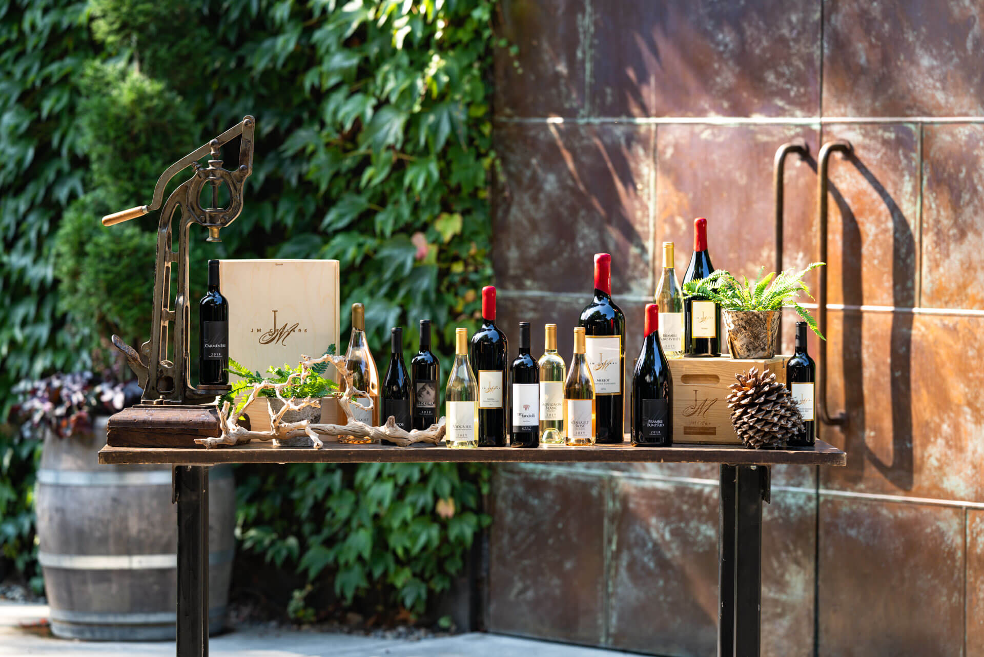 JM Cellars | Red/White Tasting Experience