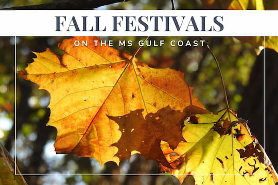 2022 Fall Festivals on the MS Gulf Coast