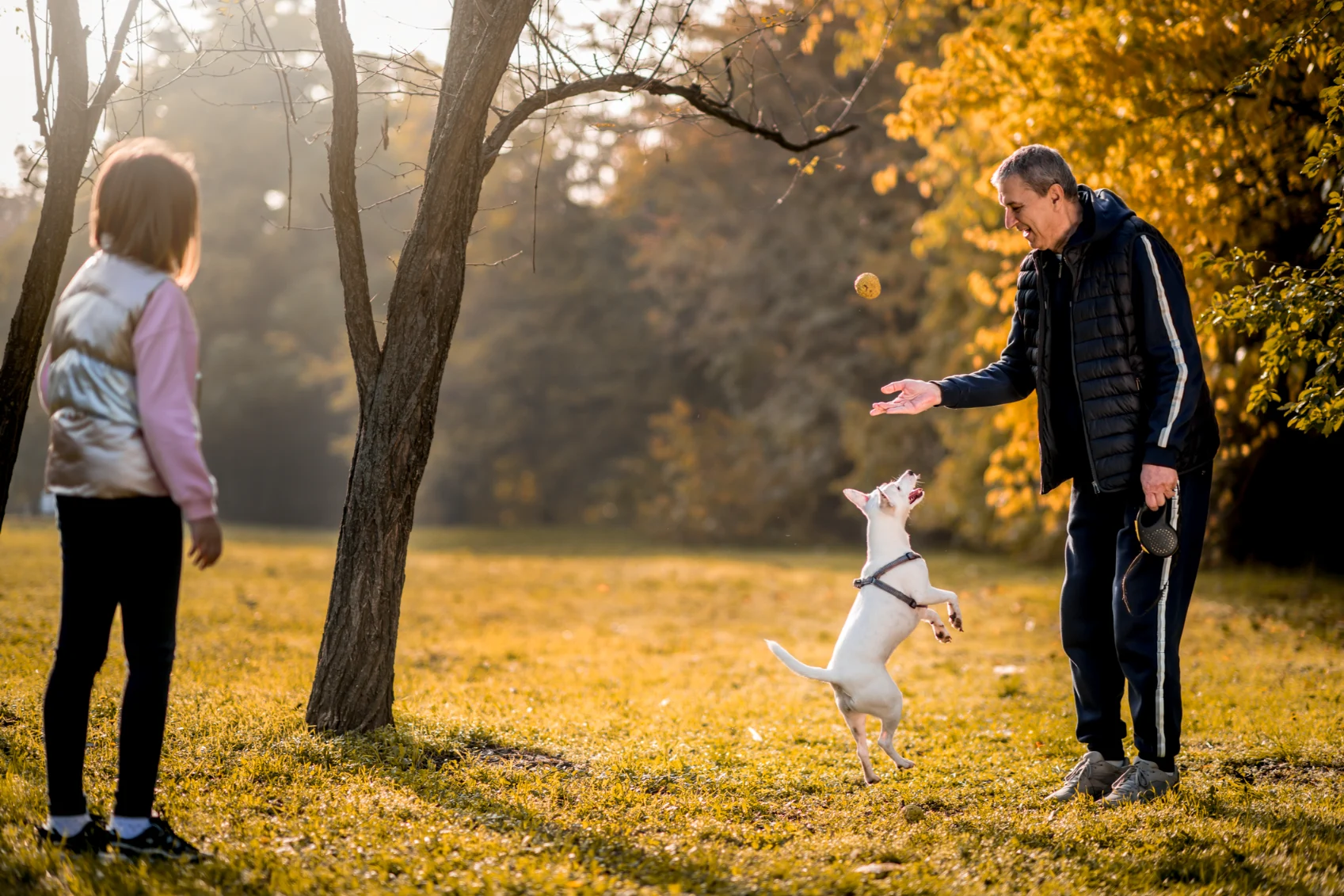 Explore Comprehensive Shoulder Treatment Options | One Health Group