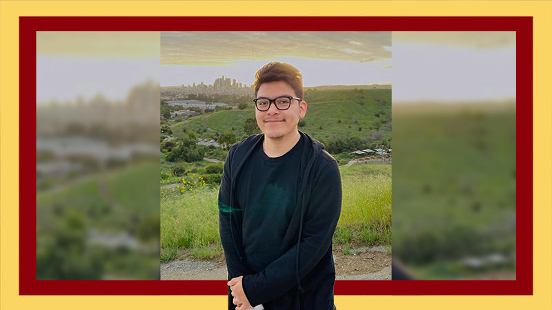 Home [www.undocuprofessionals.net]