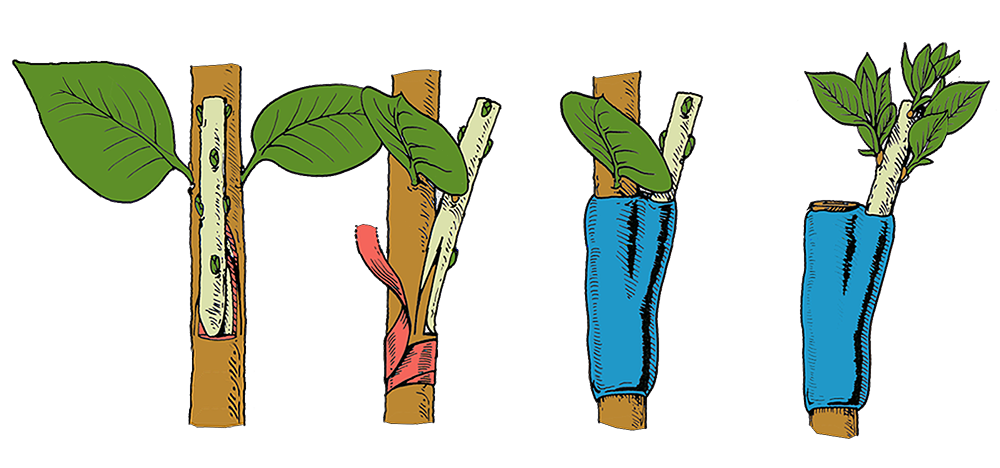 Artefacto E2E Studio