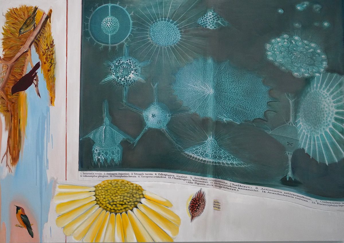 Kim Anno—Animals’ Reading Room