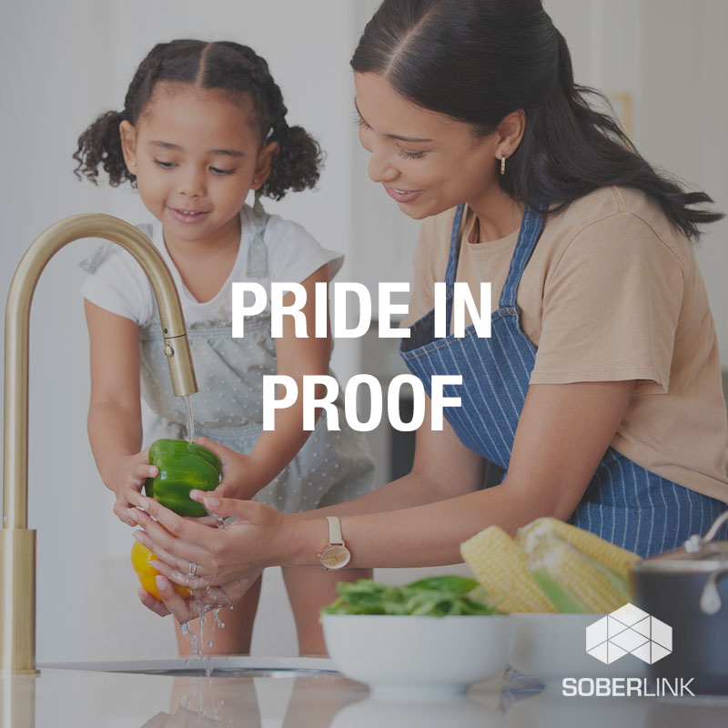 Pride in Proof | Sober Stories