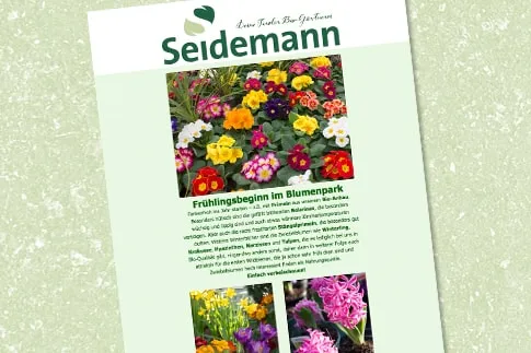 Bio-Blumengärtnerei Seidemann