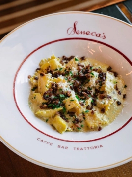 AvroKO — Reading Club & Seneca