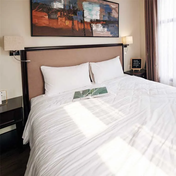 Hotel Avoids Single Asset Real Estate Classification— Preserving ...