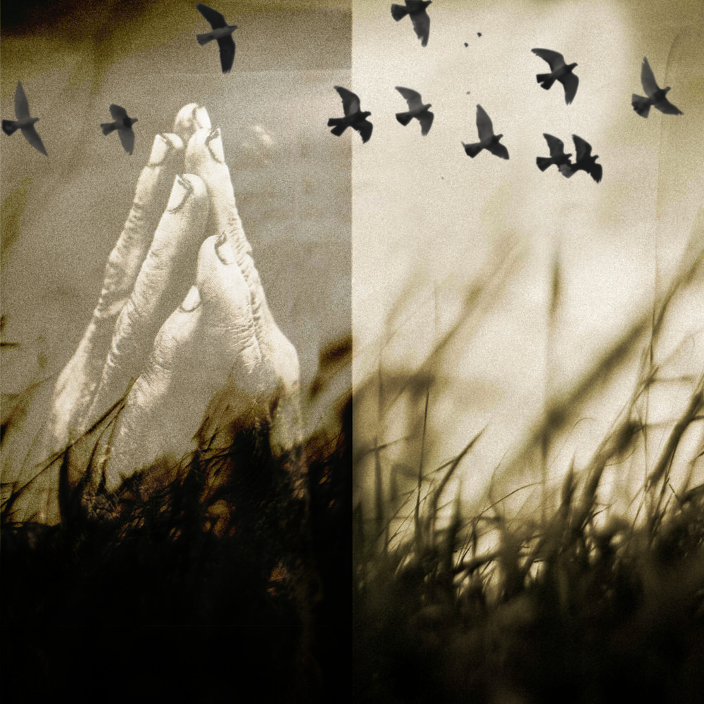 Steve Jinski | Musician, singer, songwriter & educator