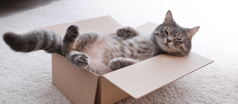 19 Hilarious Fundraising and Nonprofit Memes to Make You Laugh