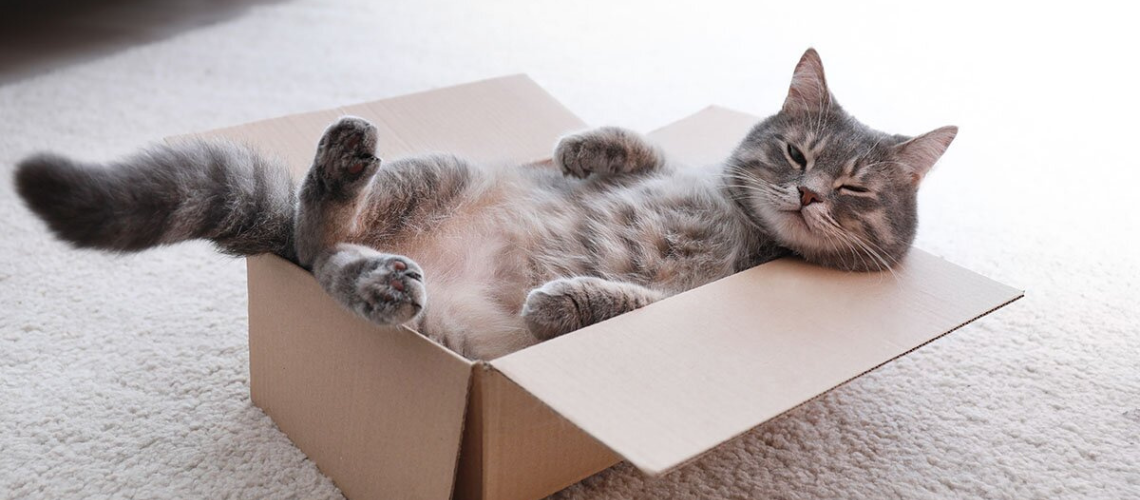 19 Hilarious Fundraising and Nonprofit Memes to Make You Laugh