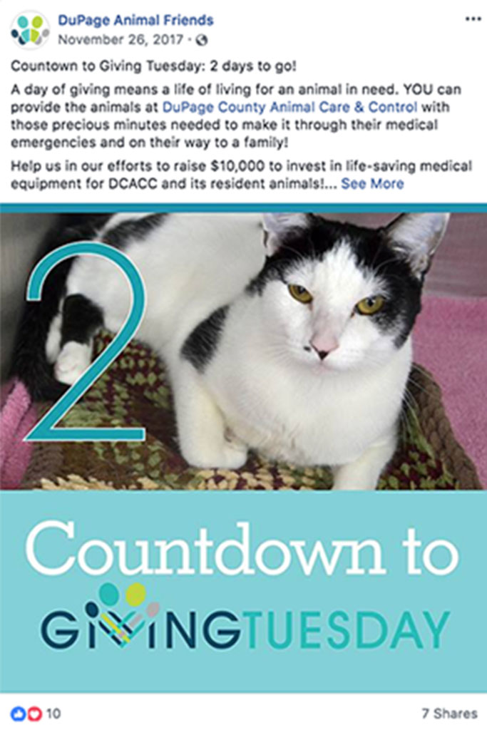 Top 10 Tips & Examples For Giving Tuesday Social Media Posts