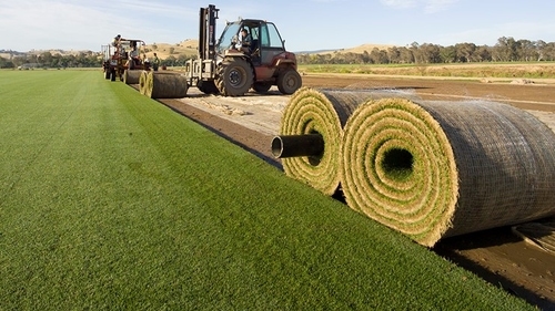 Services | Sports Turf | HG Turf