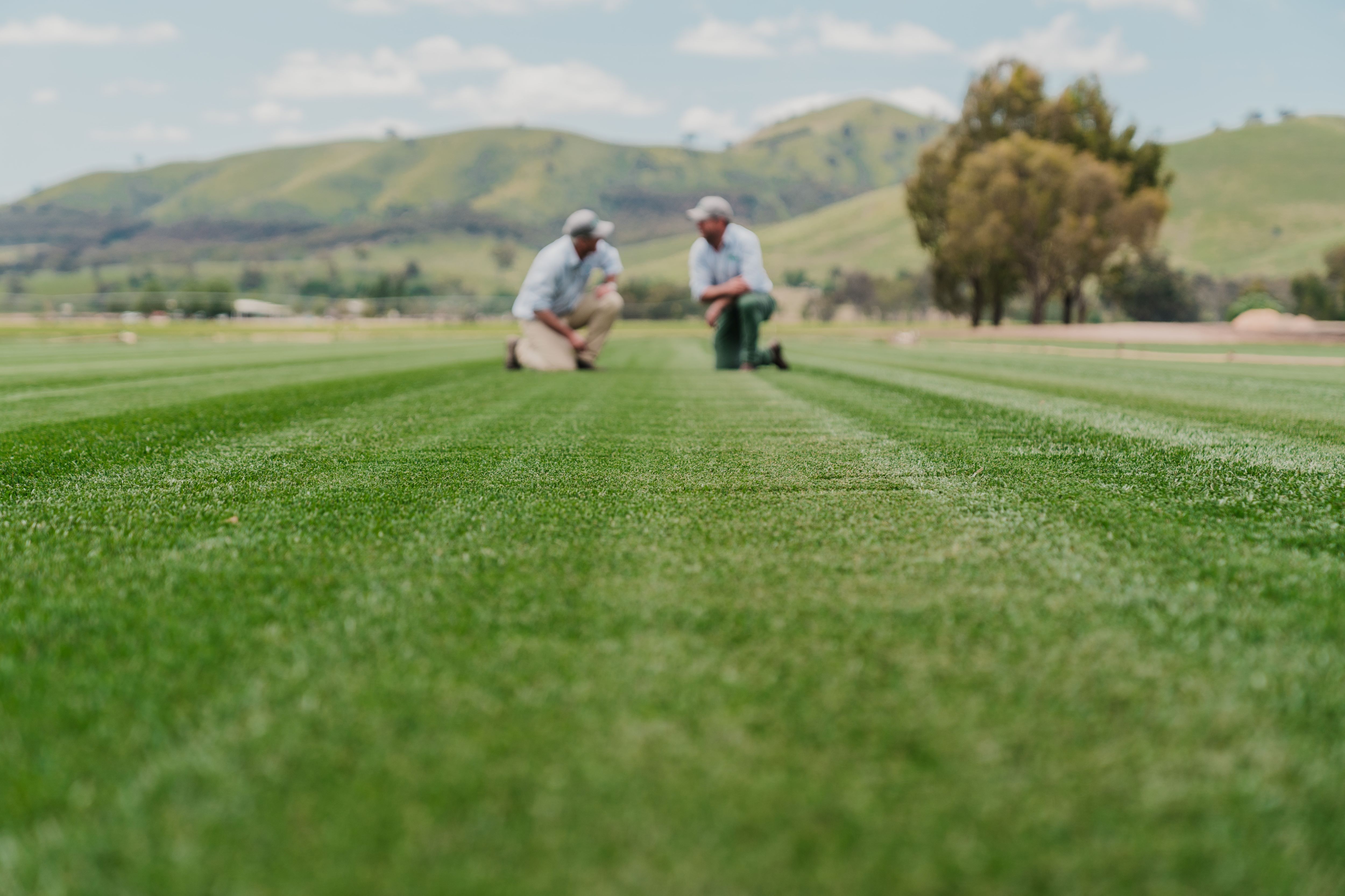 Contact | HG Turf