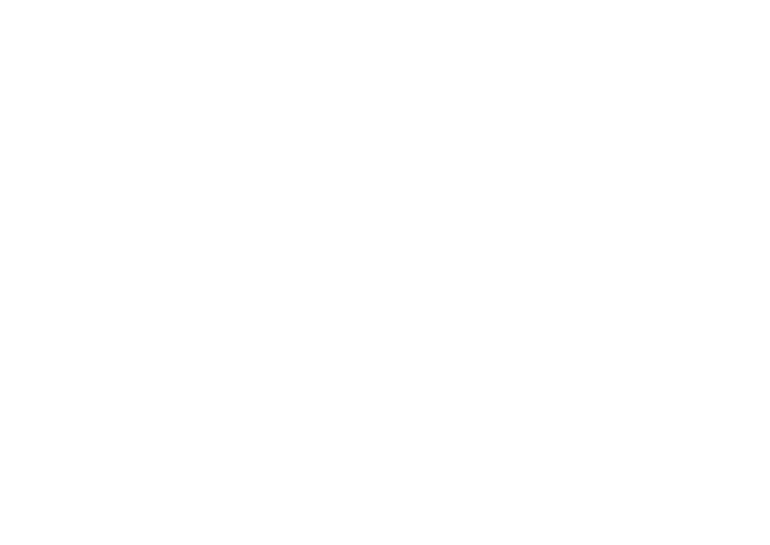 Coil Driver™ | Traction inverter