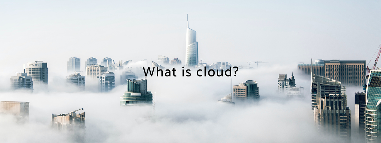 Aquí | Insights - Treasure (with Bianca Hanbury-Morris)