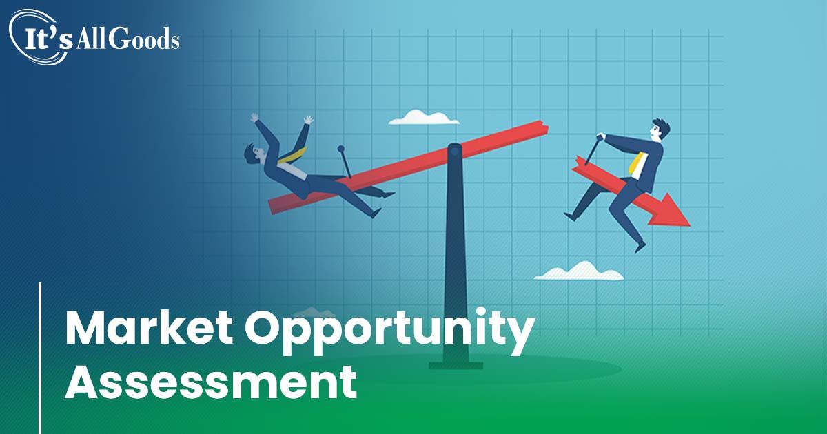 What is a Market Opportunity Assessment?