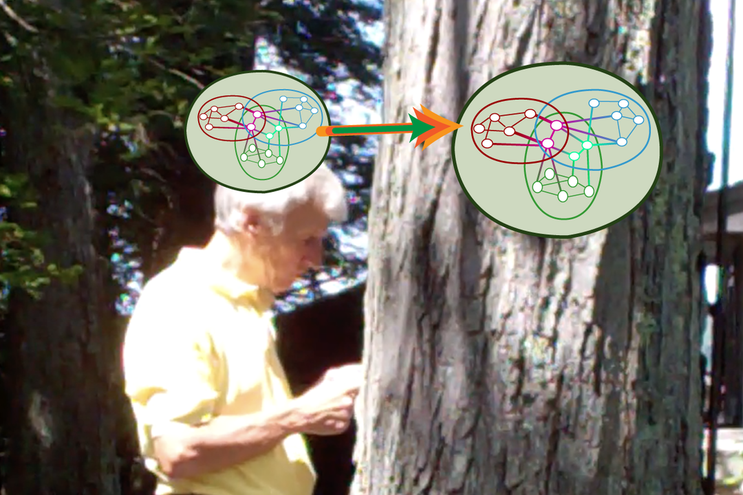 The Tree Whisperer® - About