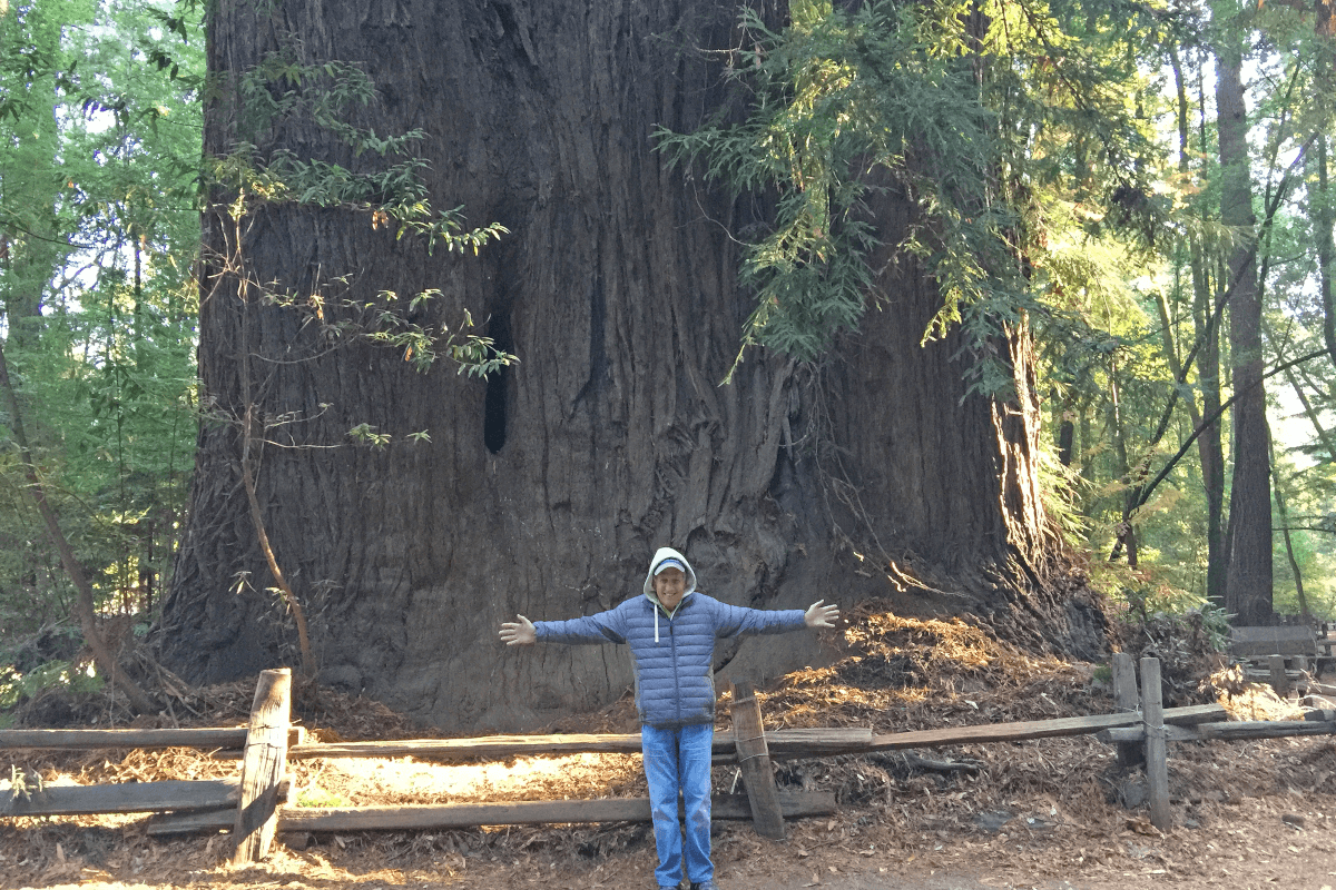The Tree Whisperer® - About