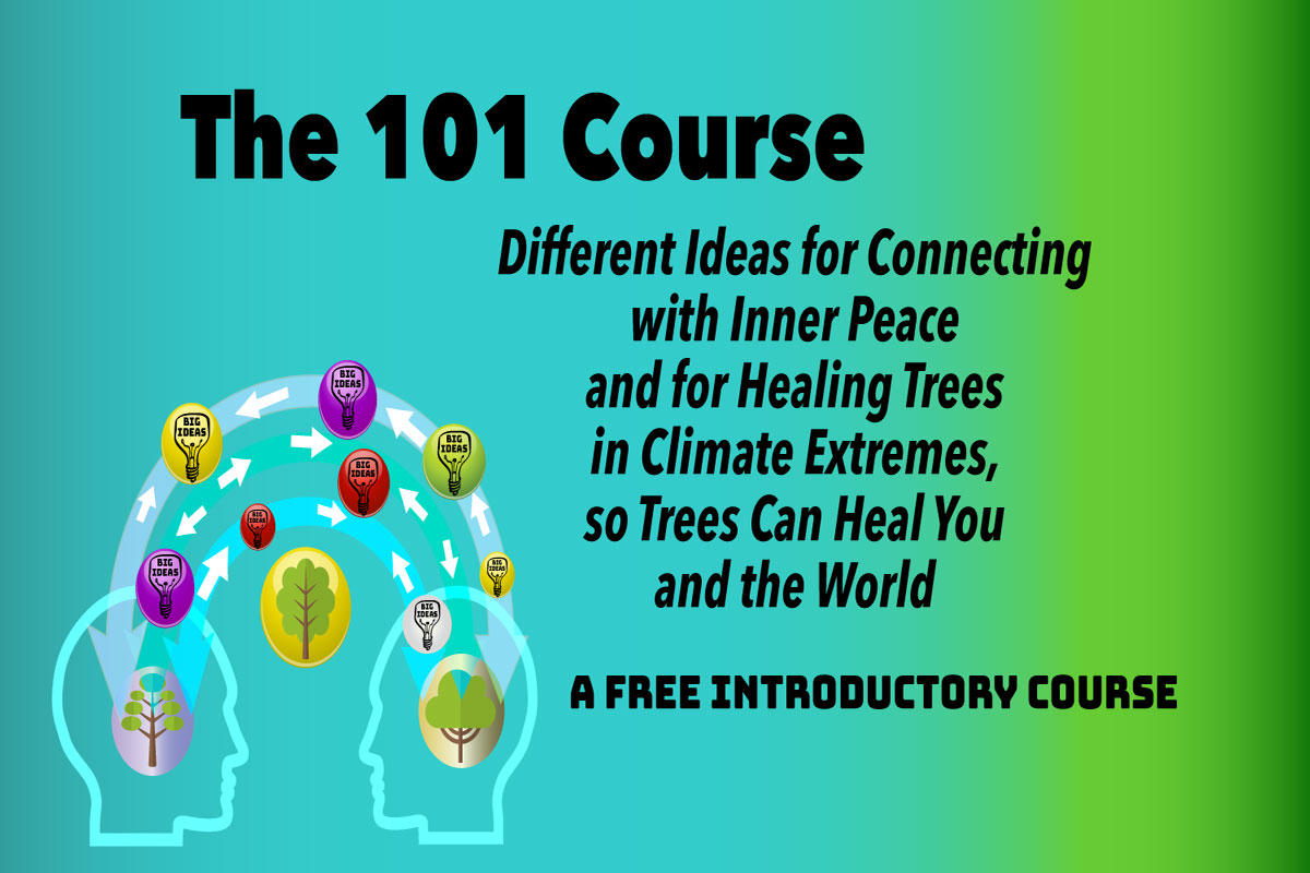 The Tree Whisperer® - COURSE: The 101 Course for BioBalia Institute School