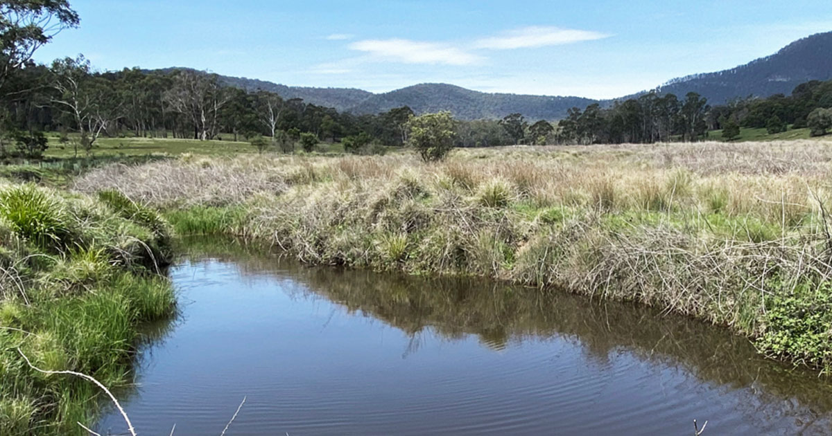 Yambulla programs, collaborative land-management projects