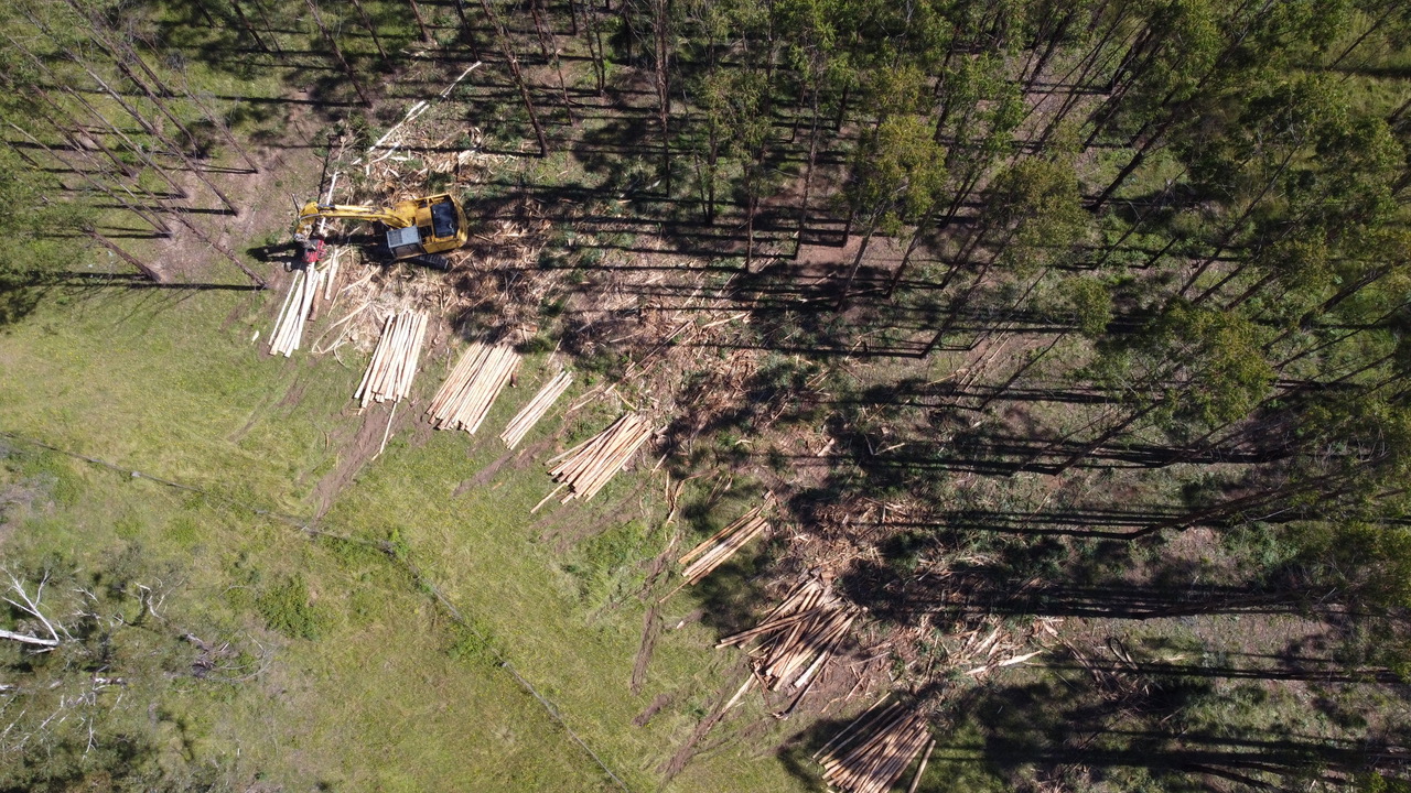 Yambulla program updates