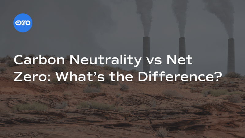 Carbon Neutrality vs Net Zero: What’s the Difference?