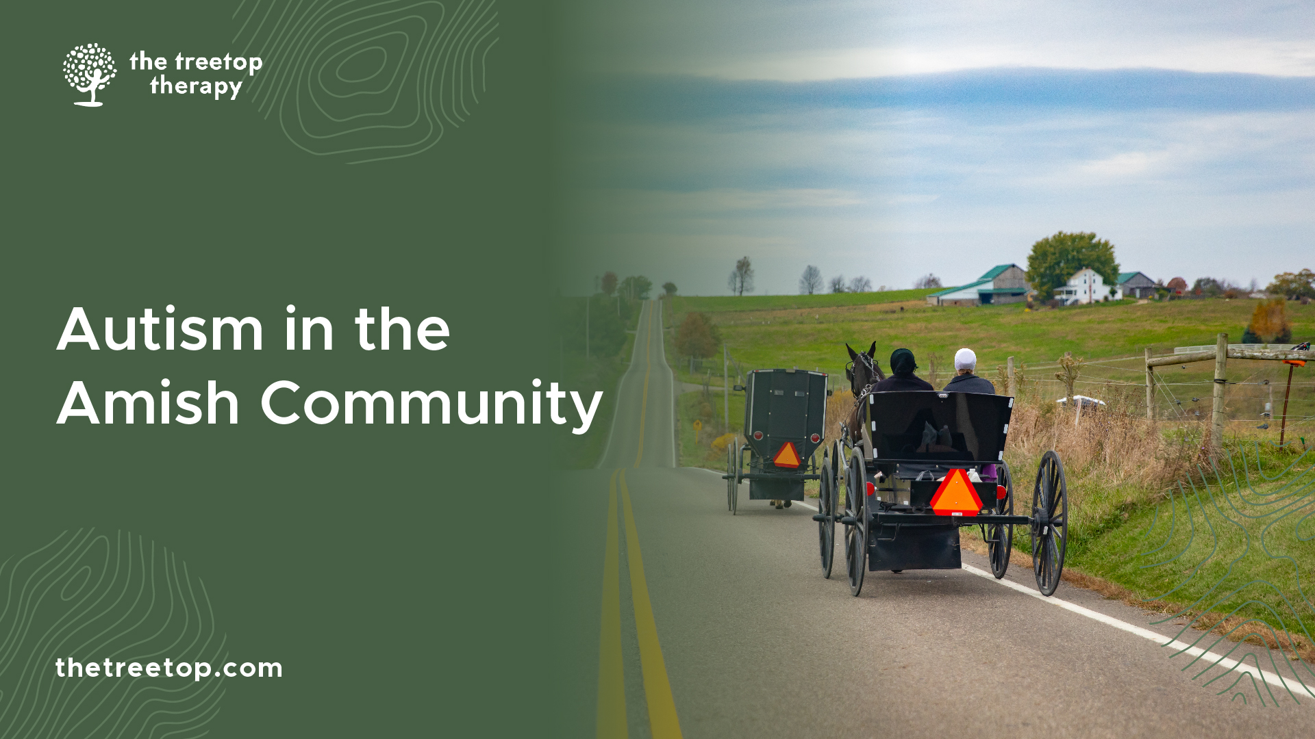 Do Amish Kids Get Autism? Are They Vaccinated?