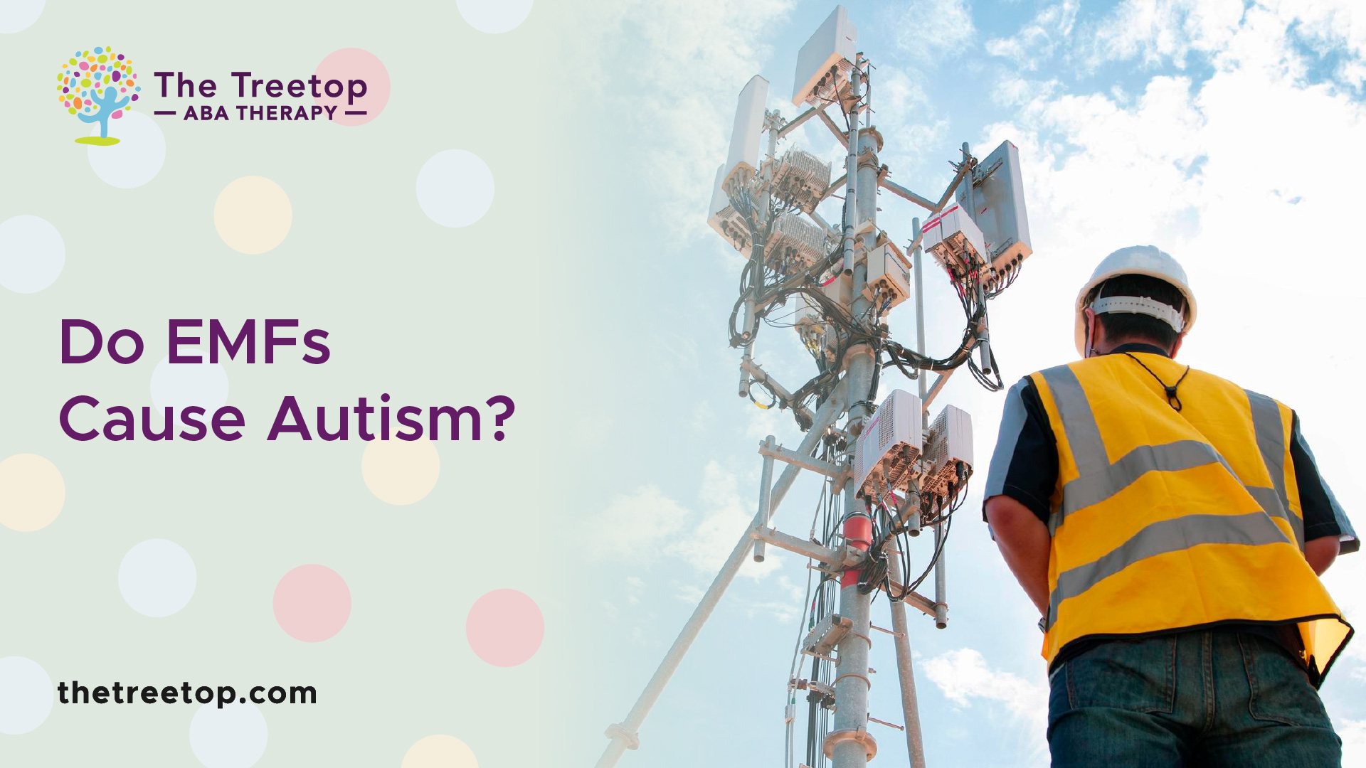 Do EMFs Cause Autism?