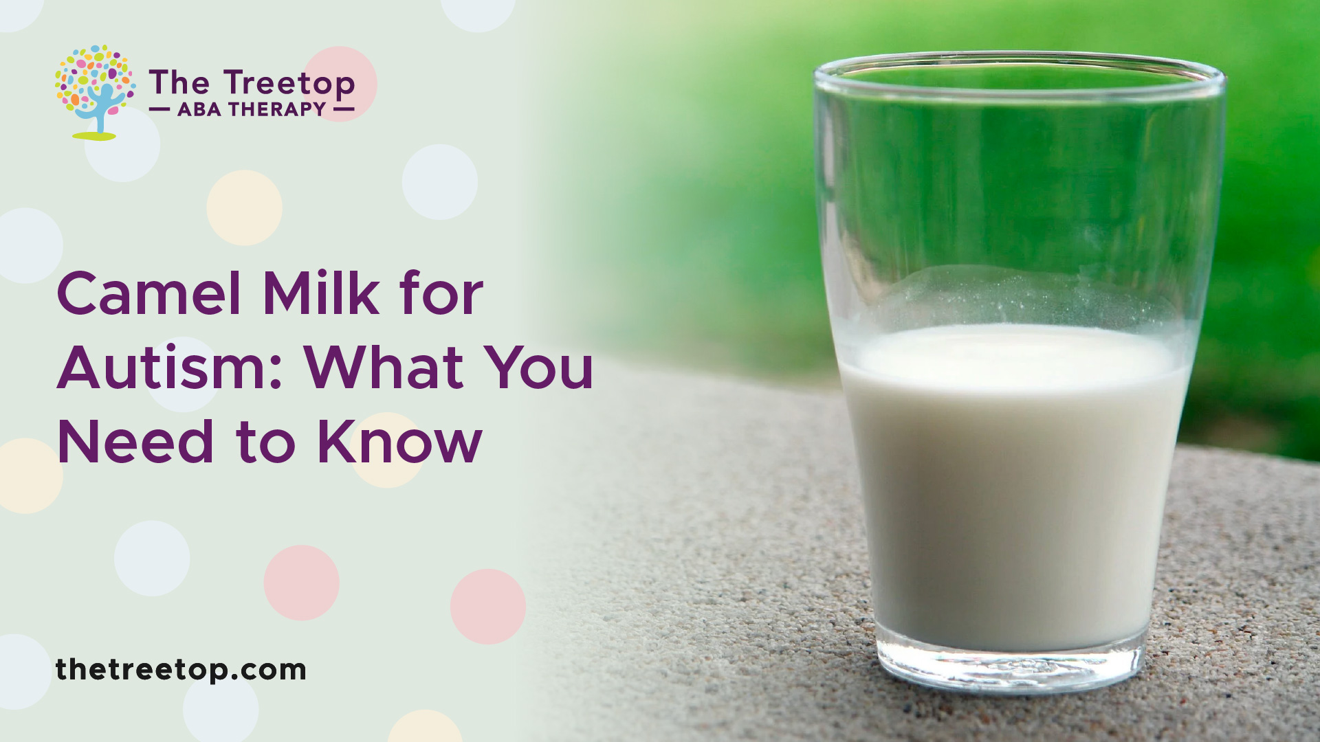 Camel Milk for Autism: What You Need to Know