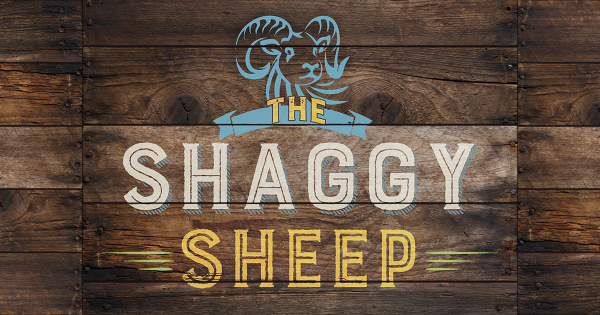 Welcome to The Shaggy Sheep, Grant CO